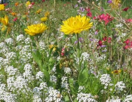 Donate - One25 | £13 can fuel our life-saving outreach van for a week